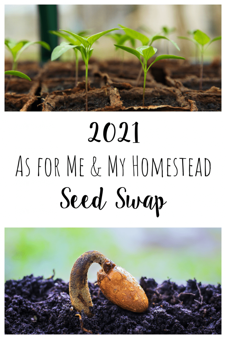 Seed Swap 2021 - As For Me and My Homestead